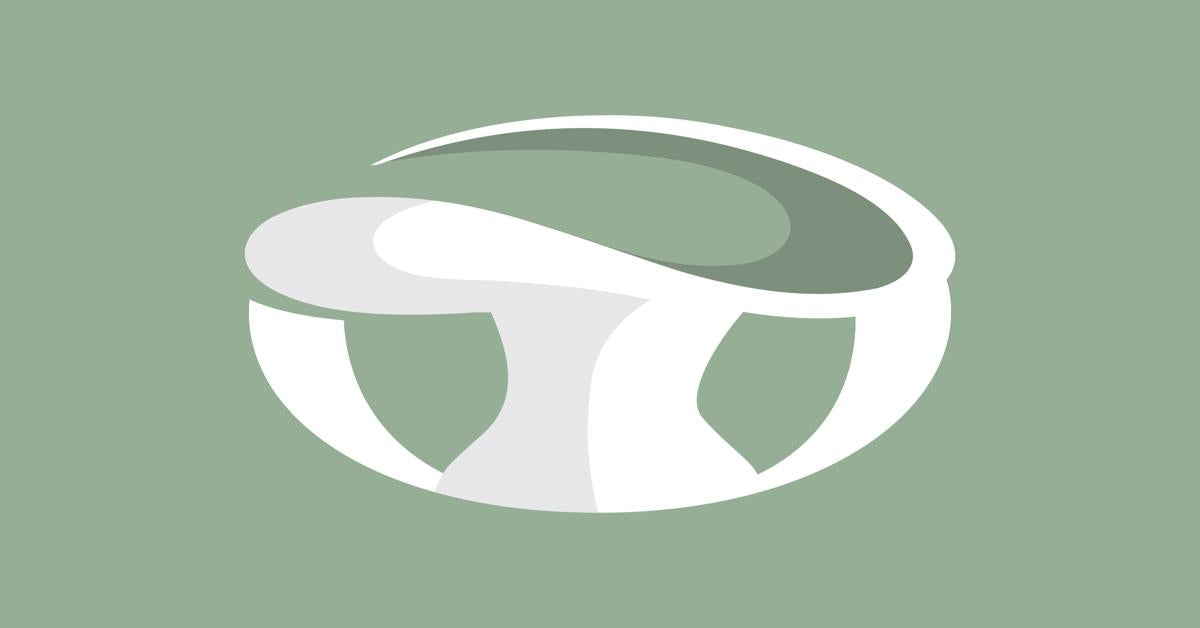 Mycotopia - Fresh and medicinal mushrooms grown in Geneva – My Store